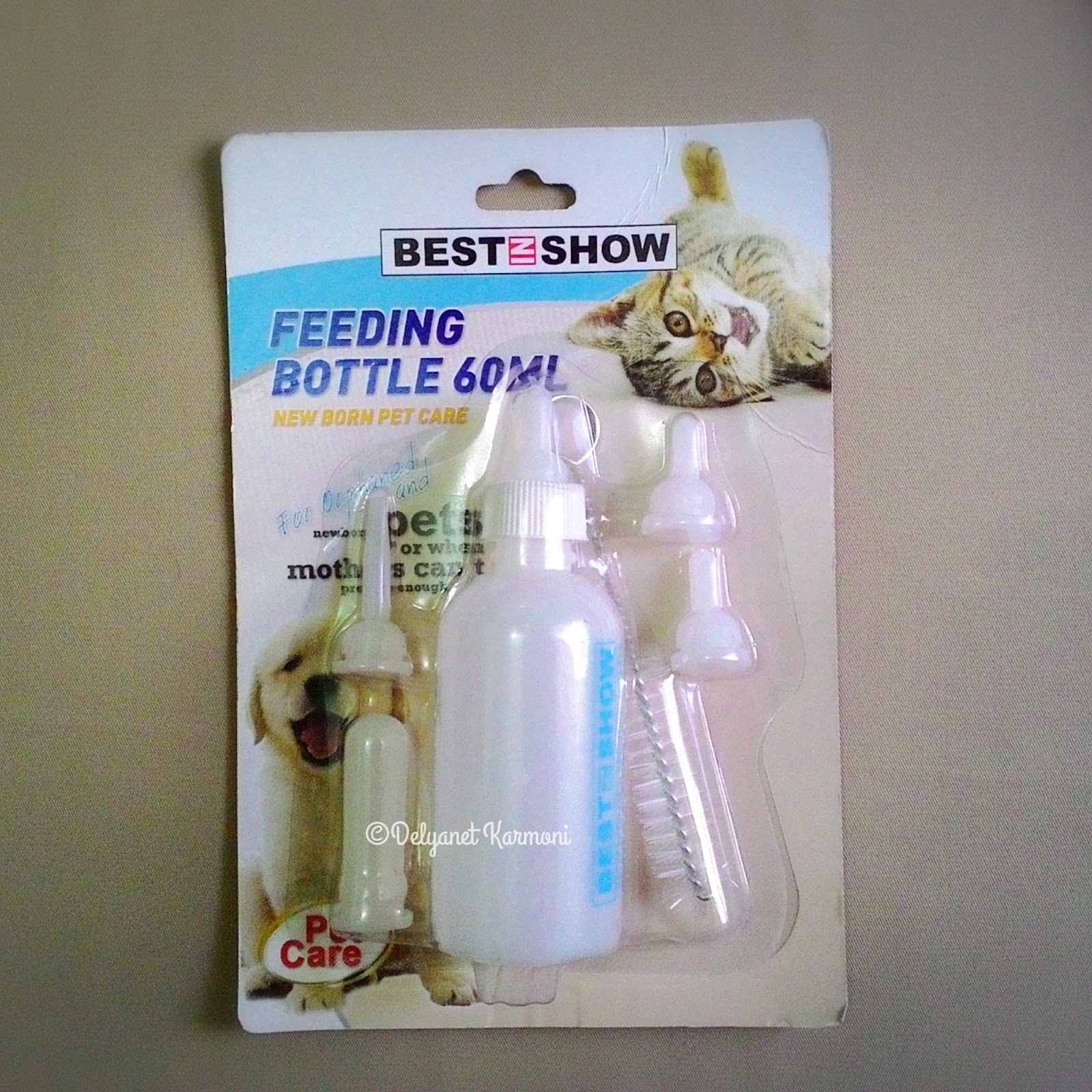 Best In Show, Dot untuk Bayi Kucing dan Anjing ~ Momento Dulce