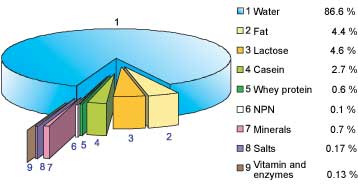 General Knowledge: What are Constituents of Milk?