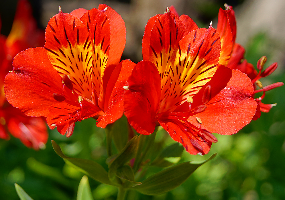 The Day I Went Home and Became a Love Guru - Chapter 2 - ChungHee22 ...