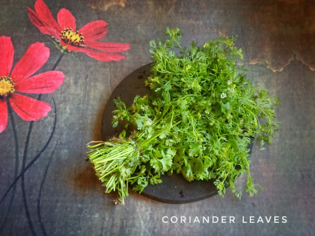 Veg Indian Cooking: How to keep coriander leaves fresh in the ...