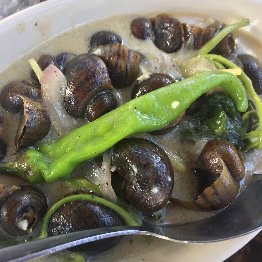 kuhol - philippin news collections