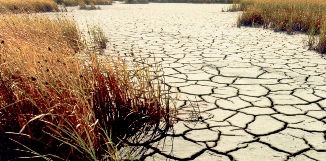 Echilibre şi dezechilibre naturale: SECETA