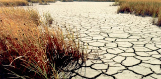 Echilibre şi dezechilibre naturale: SECETA