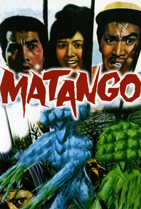 Matango: Attack Of The Mushroom People HD - developerspunch