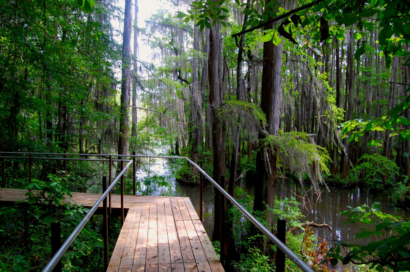 Barton Beach Perry Lakes Park, near Marion
