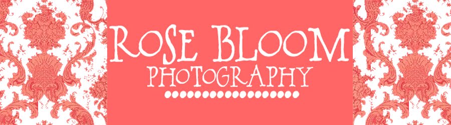 Rose Bloom Photography