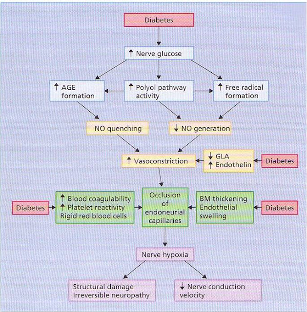 Diabetic Neuropathy | Ask2Pharma