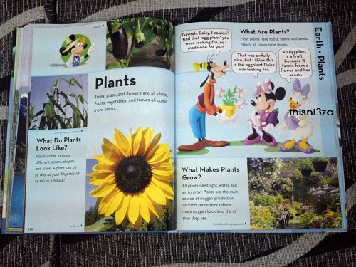Playhouse Disney - Encyclopedia book ~ My Story Board