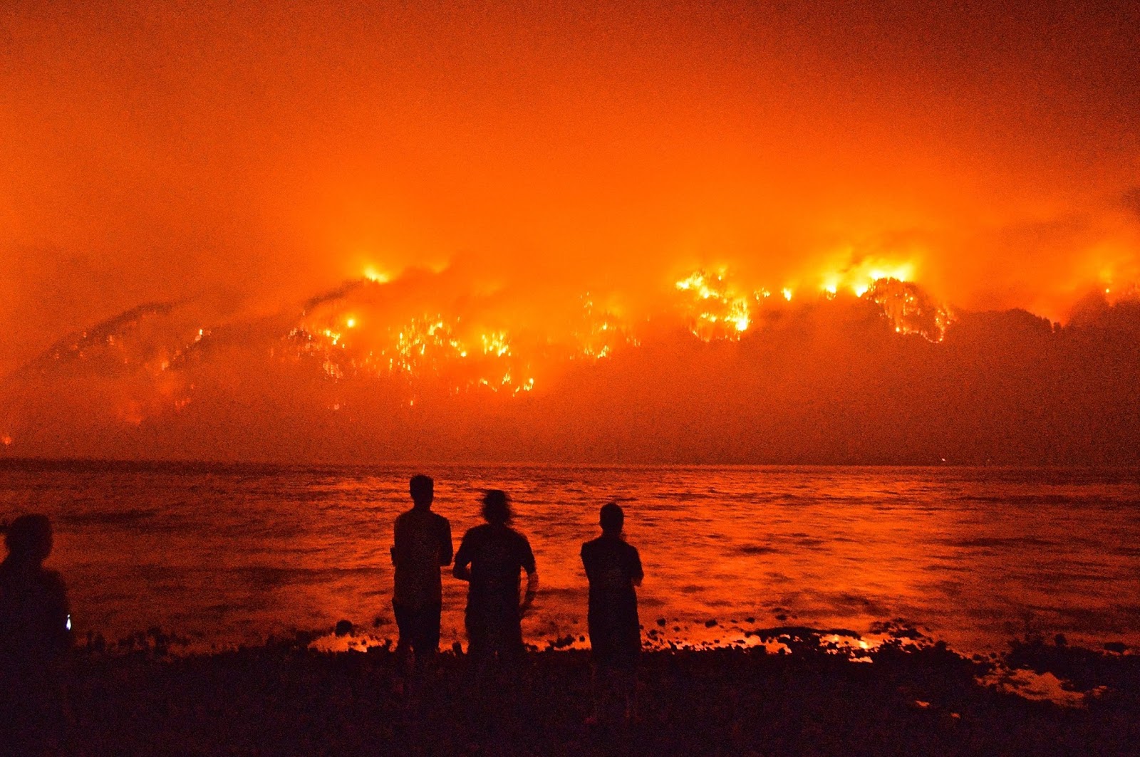 Teresa Kasner: Fire Apocalypse