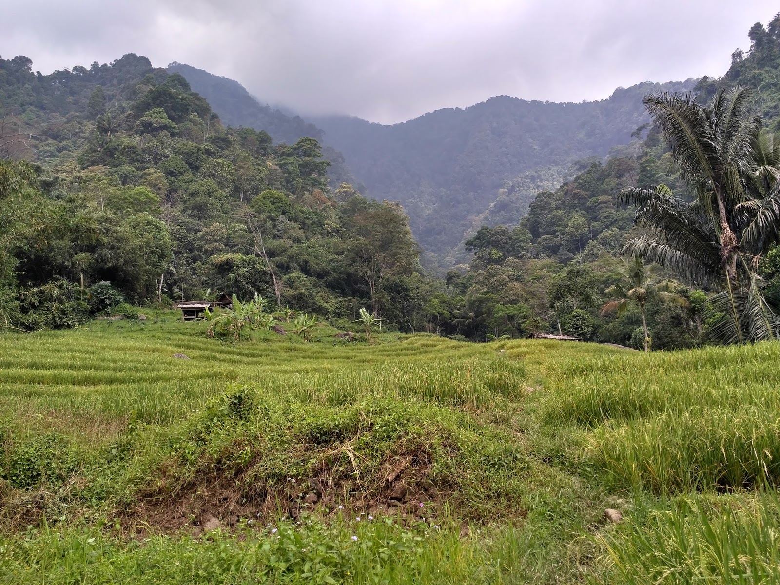 WISATA GUNUNG CANGGAH ~ Wisata Desa Cimanggu