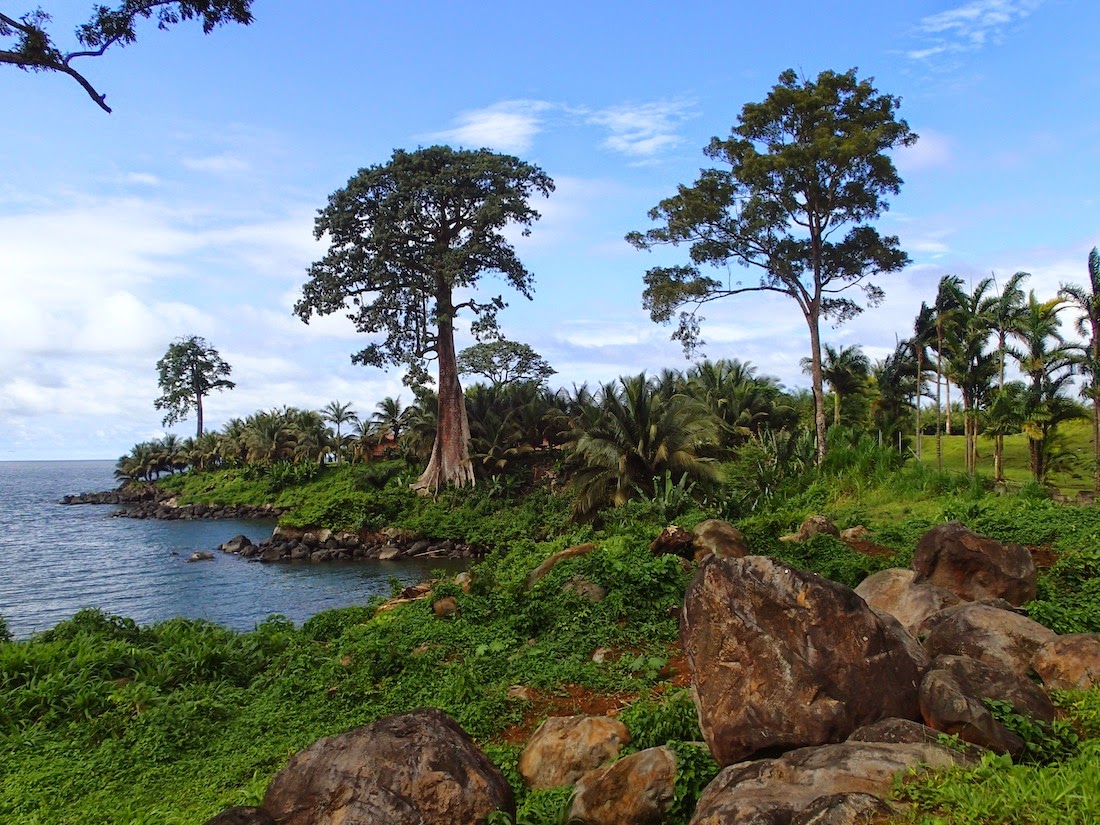 The Family History Project: May 2014