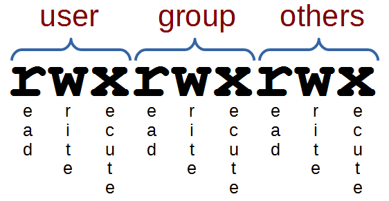 Scripting In Linux LaptrinhX News scripting-in-linux-laptrinhx-news