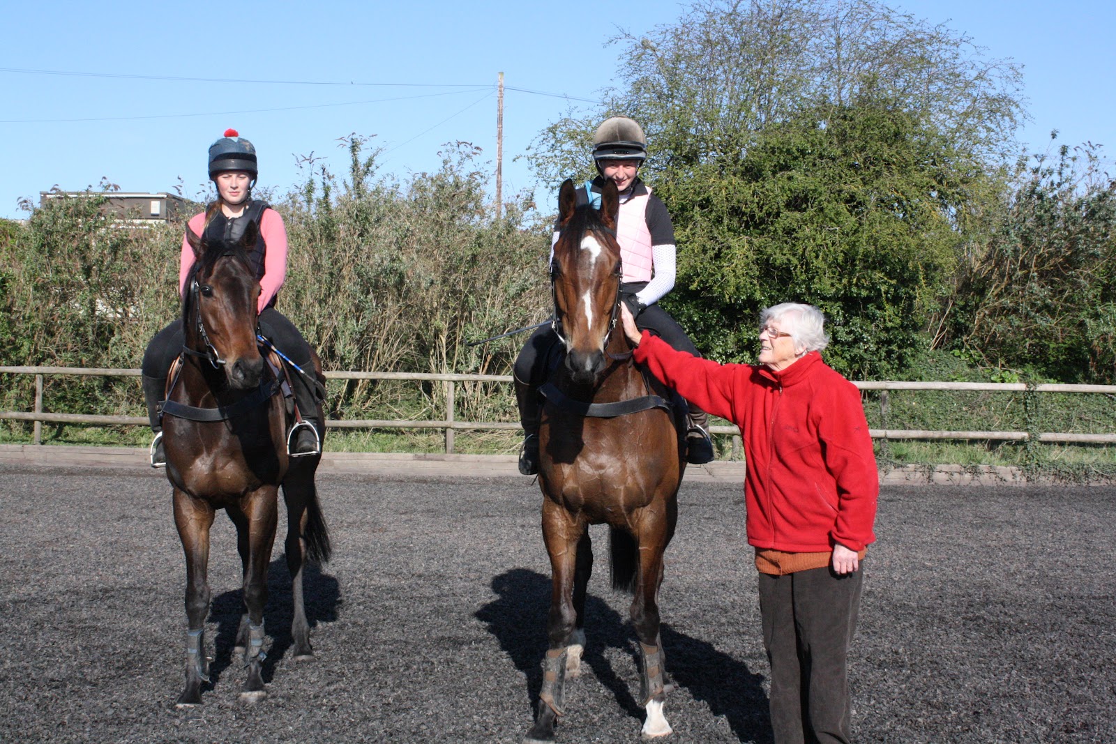 Simon Earle Racing: Cheltenham and work yesterday