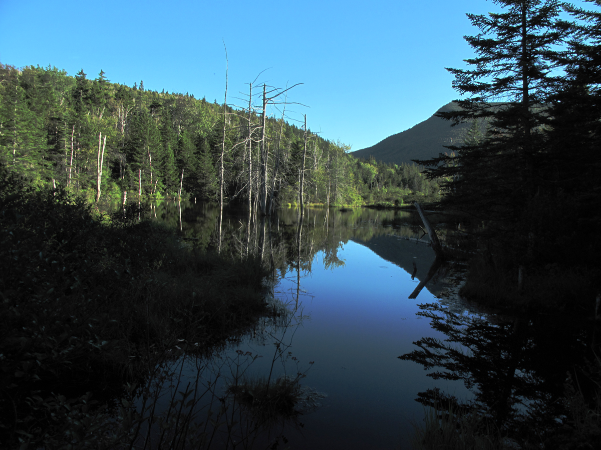 White Mountain Sojourn: 8-24-13: Zealand Notch, The Pemi, and the ...