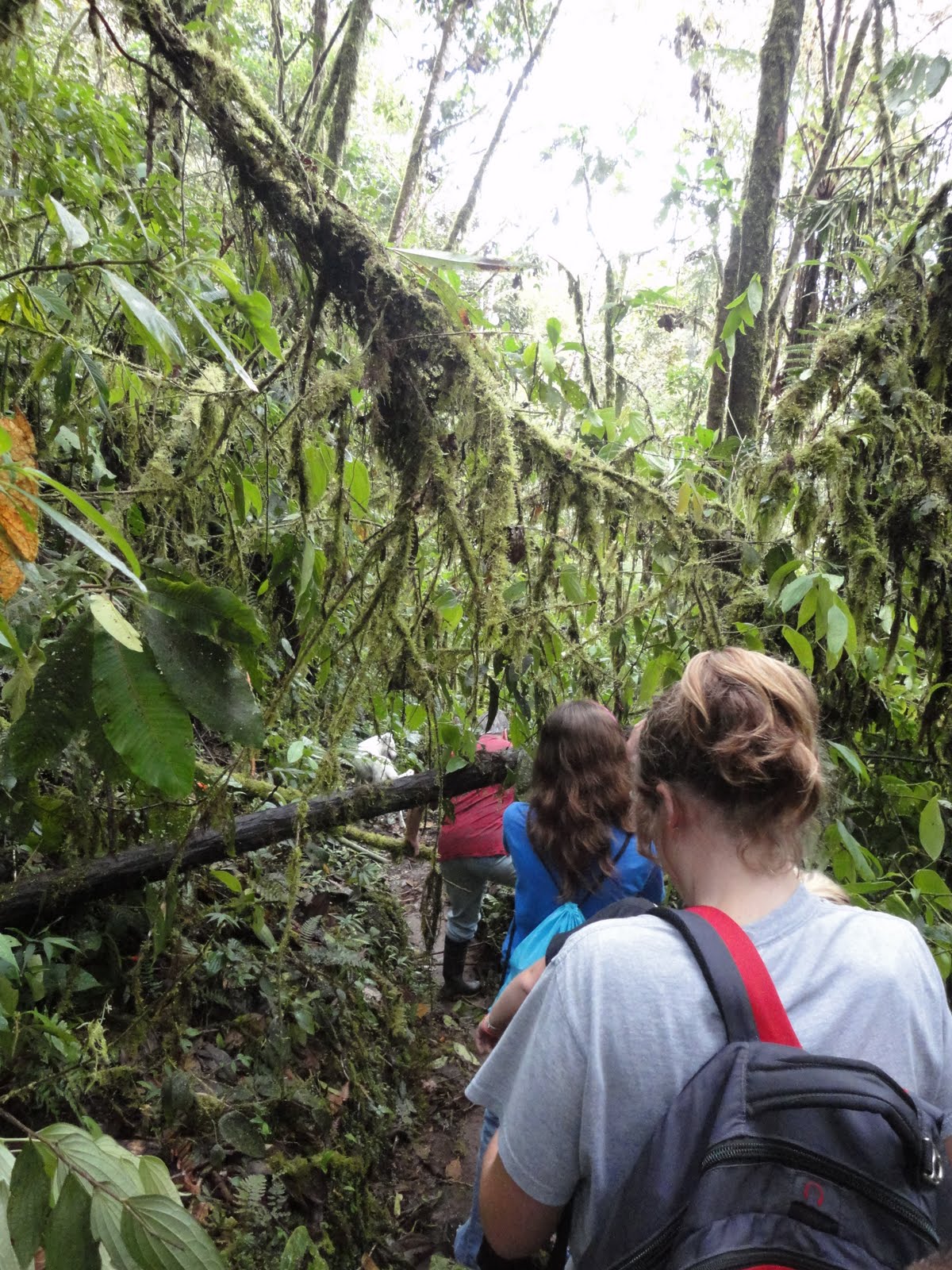 Straddling the Equator