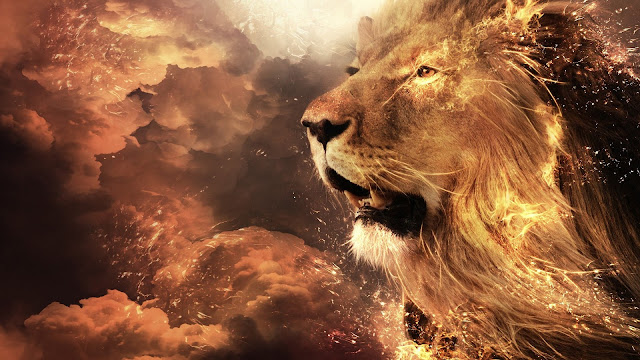 Top 60+ Lion HD Wallpapers | Backgrounds Images Free Download