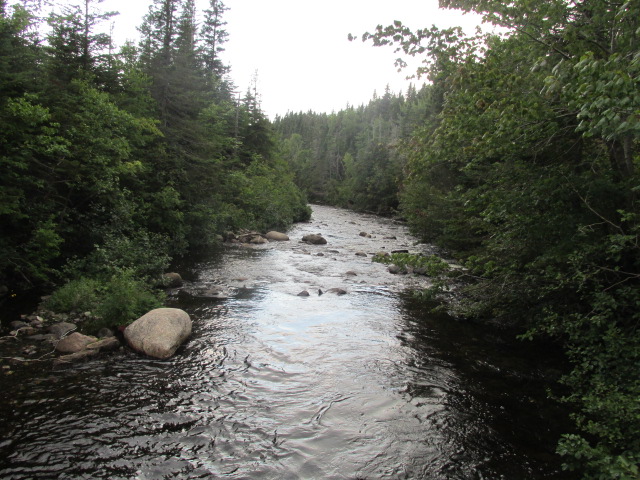 Elder McGuire in the Maritimes: Sum Marnin Smarnin If Marn Marnin is ...