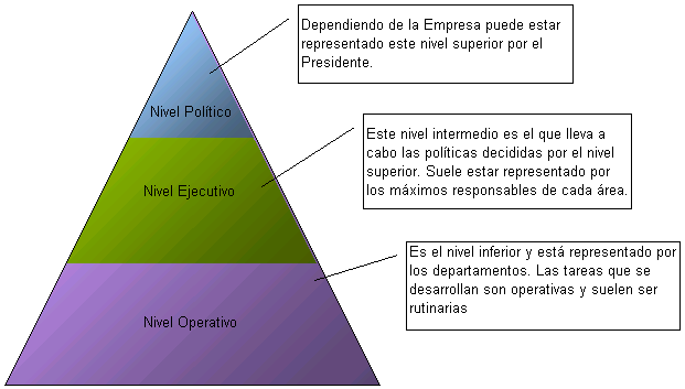 Organización e Información