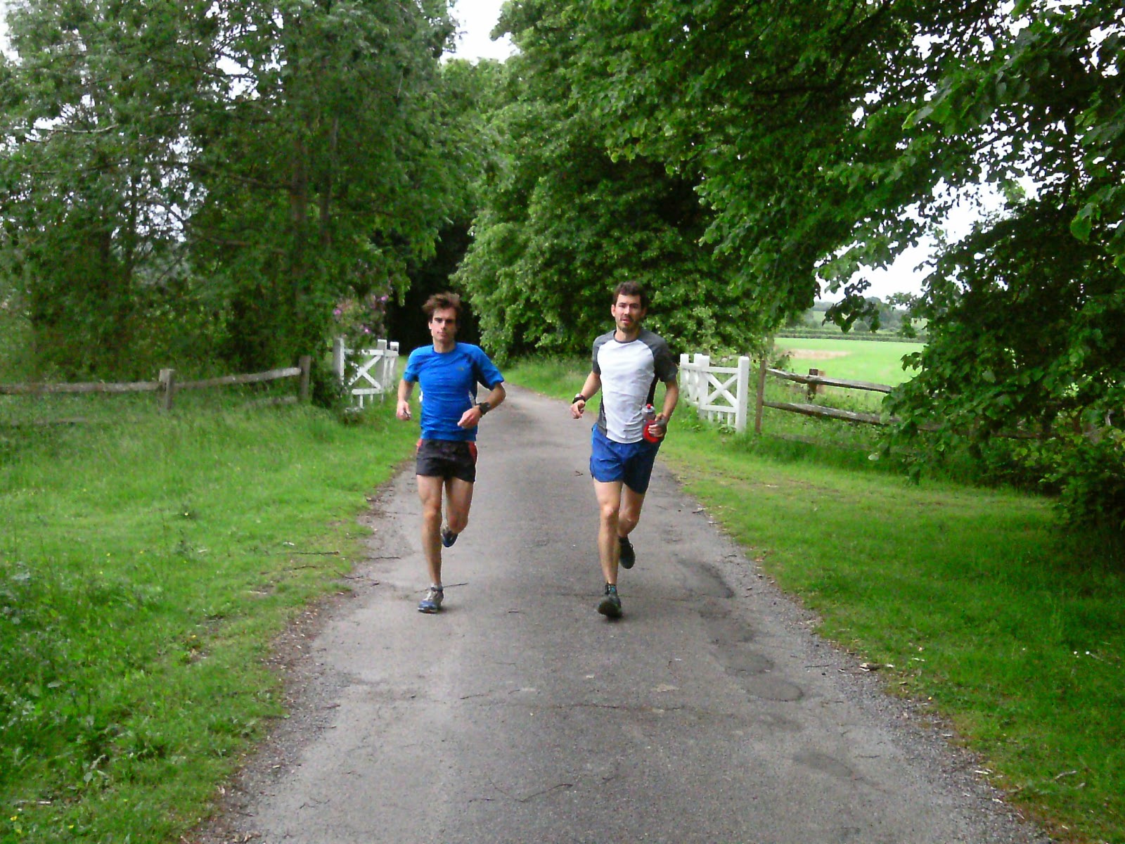 Feet In The Crowds: A gentle jog along the Vanguard Way