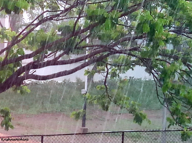 Photoblog: Enthralling Rainy Day Pictures