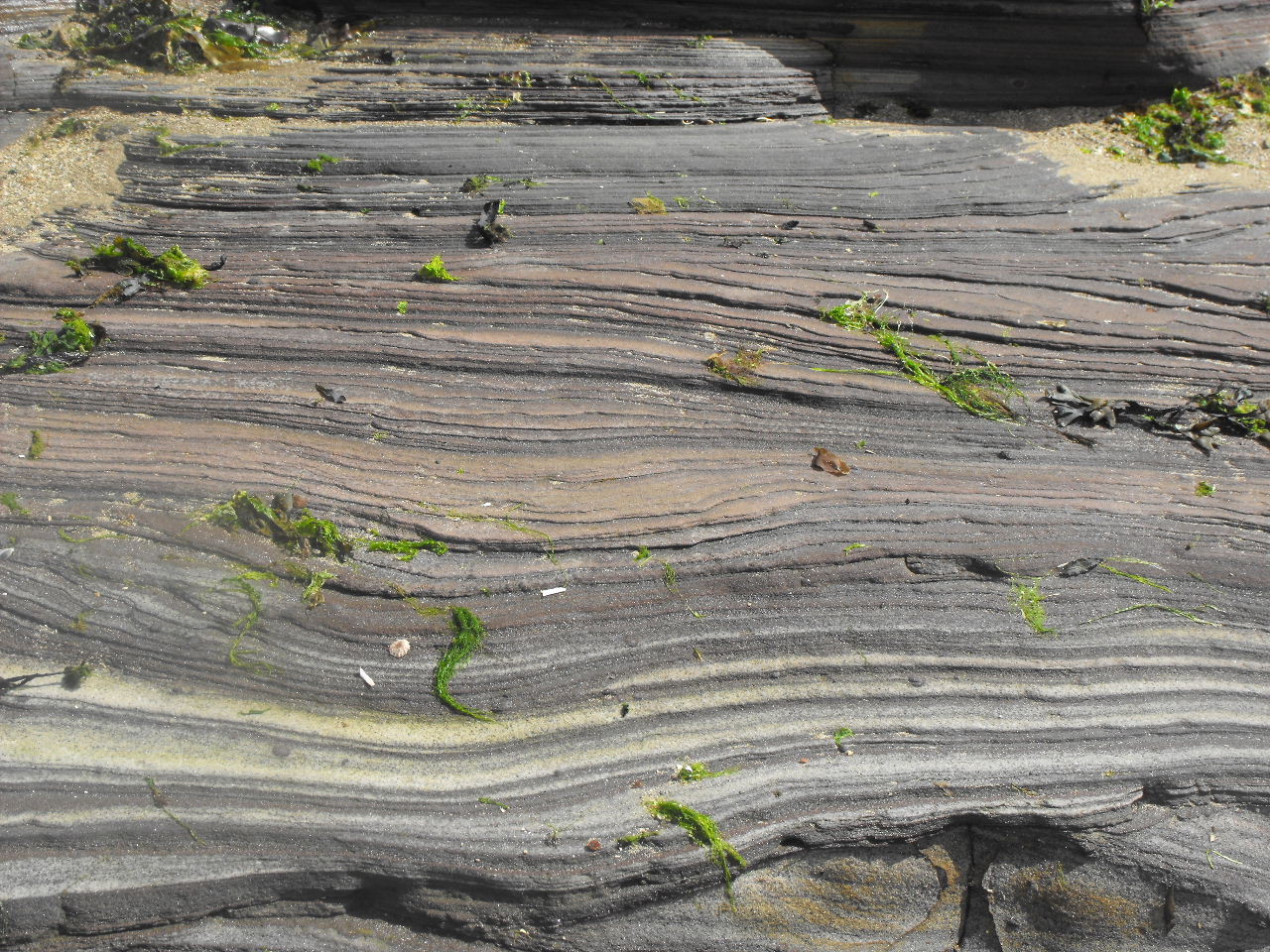 Largo Baywatch: Rock Striations