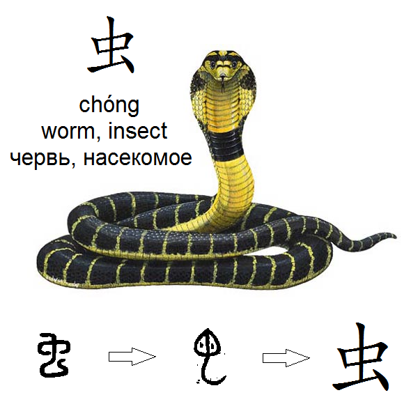 Mandarin Chinese From Scratch: 虫 - chóng - worm - червь