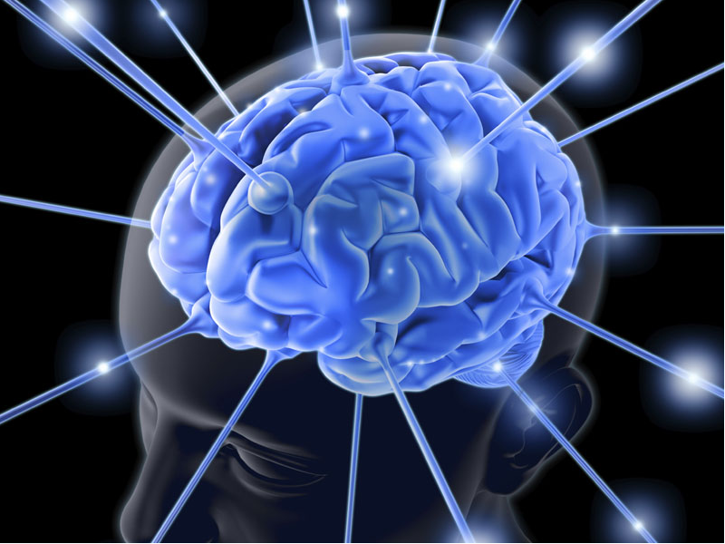 INTELIGENSI ~ Sentuh Hati