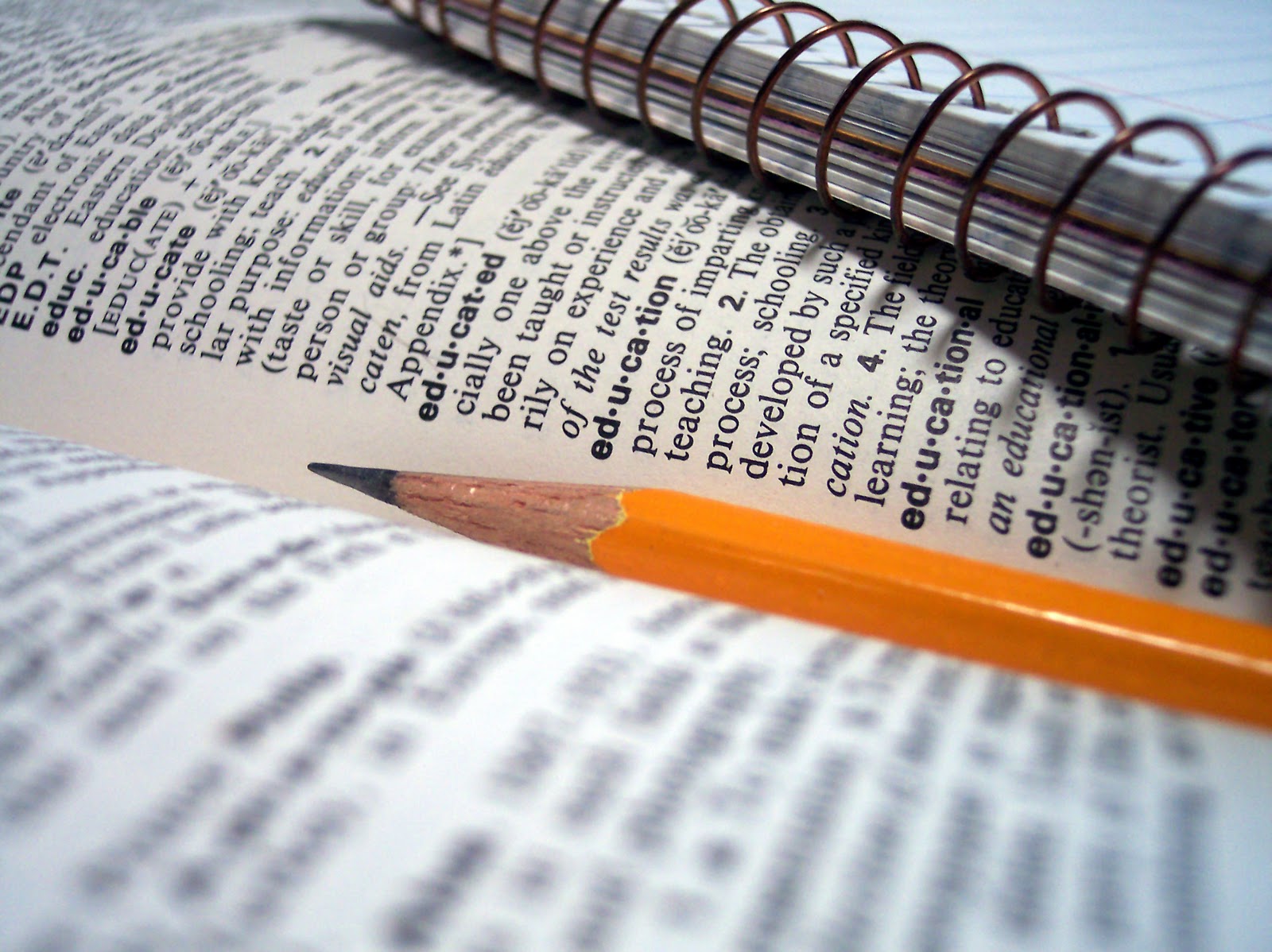 ¿Qué he aprendido hoy?: Derivación verbal: -ecer, -izar, -ificar y ...