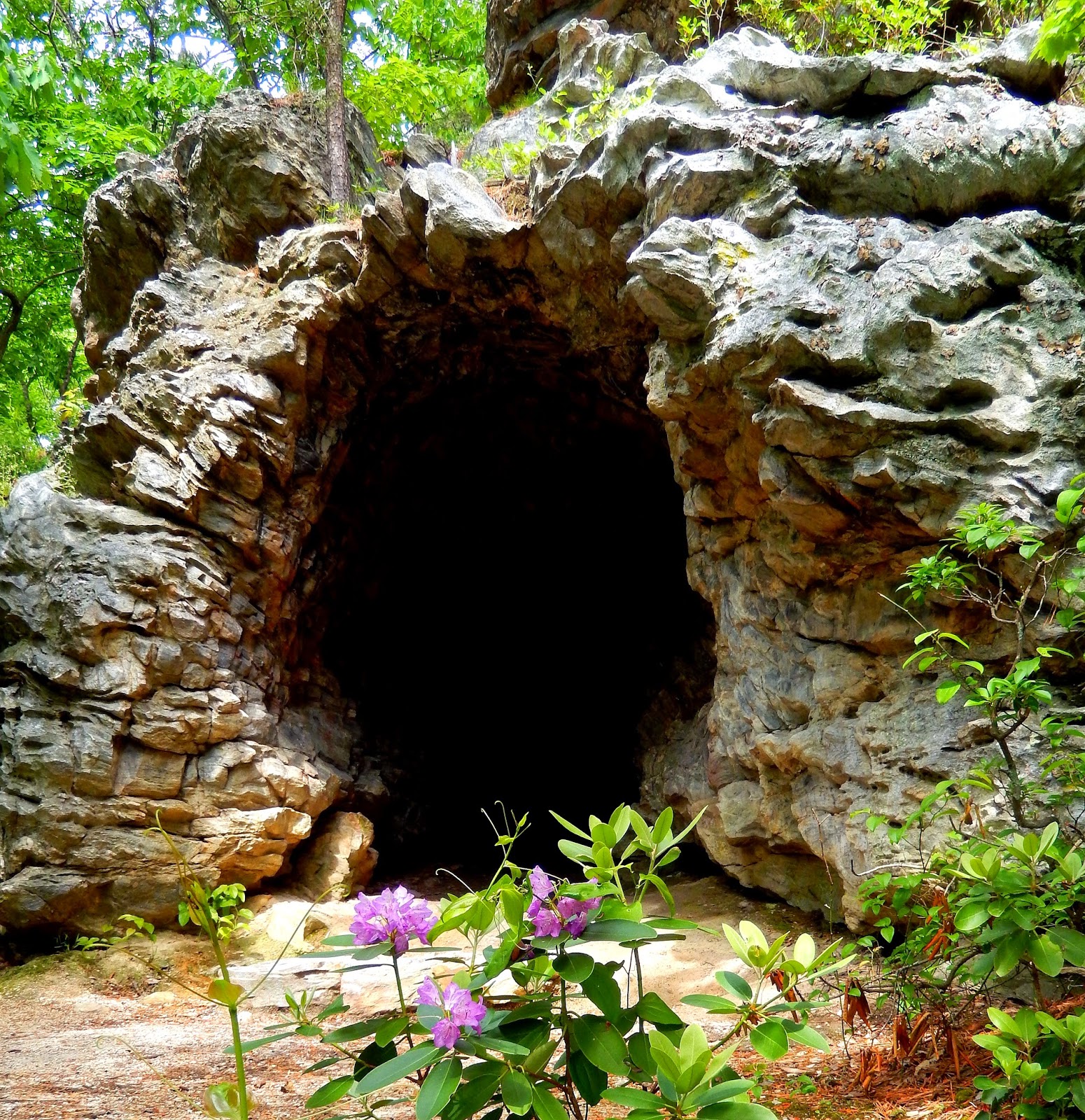 Hiking with a Fat Bald White Guy: Hanging Rock - Tory's Den