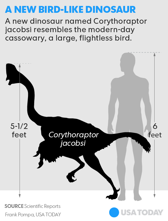 Species New to Science: [Paleontology • 2017] Corythoraptor jacobsi ...
