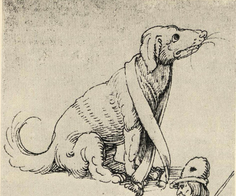 Decker's "The Esoteric Tarot": Ancient Sources Rediscovered in ...