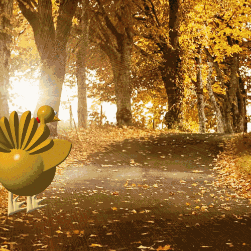 GraphicArt: Turkey animation