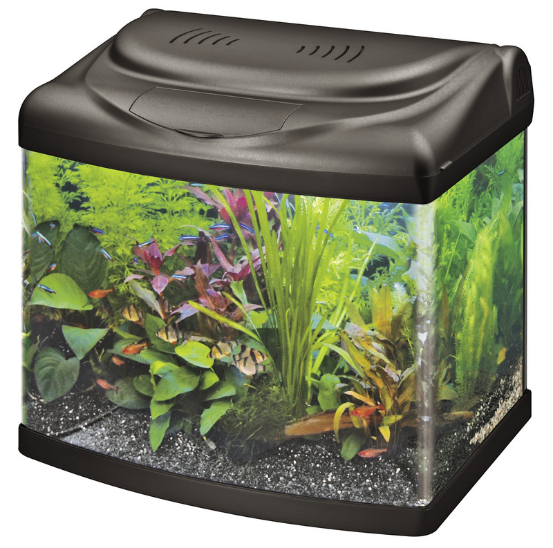 Tropical Fish Tank: Big Tank - 60L.