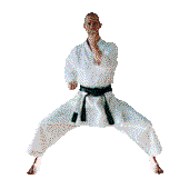 Shotokan - Karate Do Vital Point Strikes