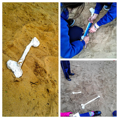 The Science Corner 5th: Digging for fossils!