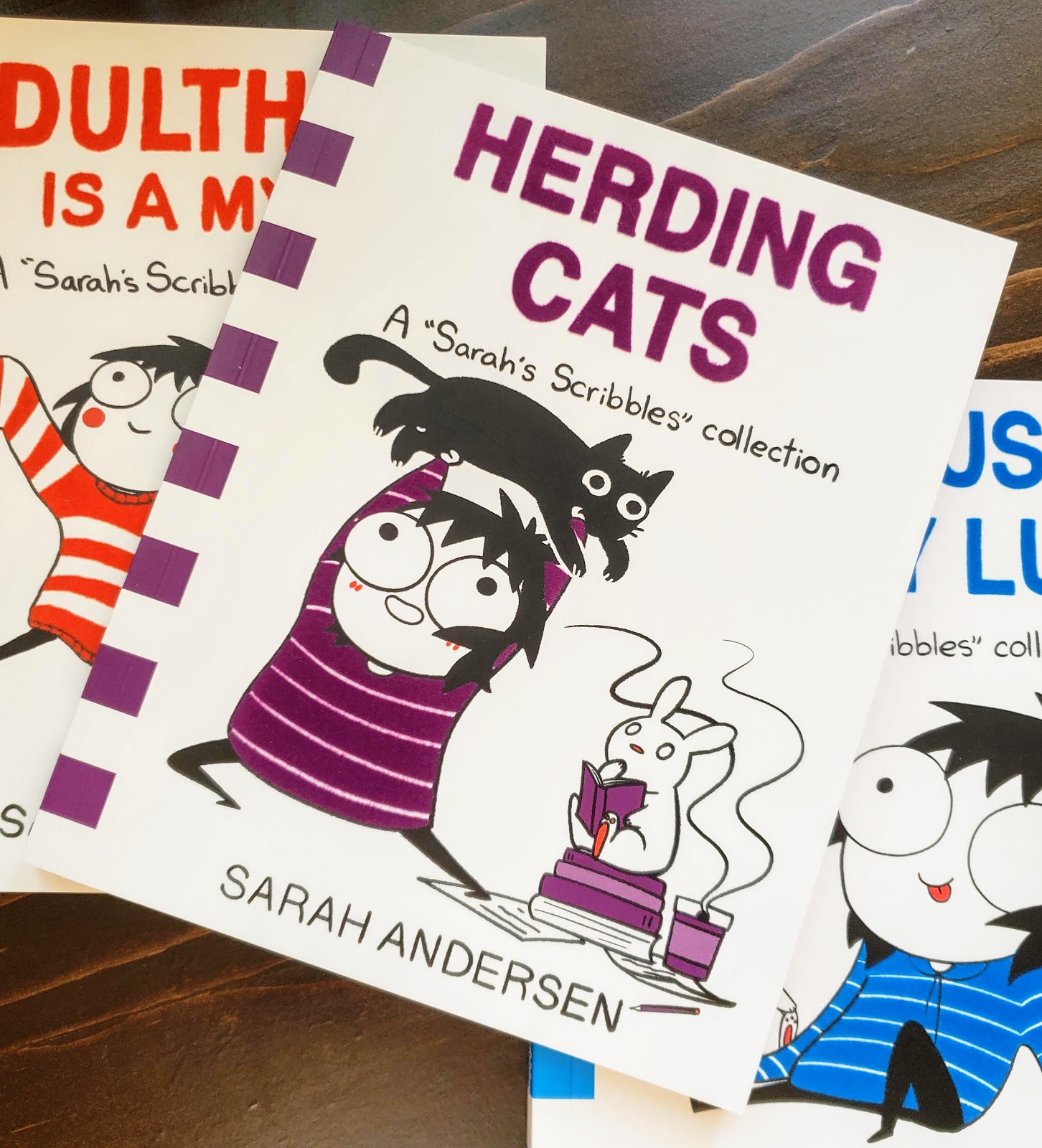 Pamela Reads: Herding Cats by Sarah Andersen