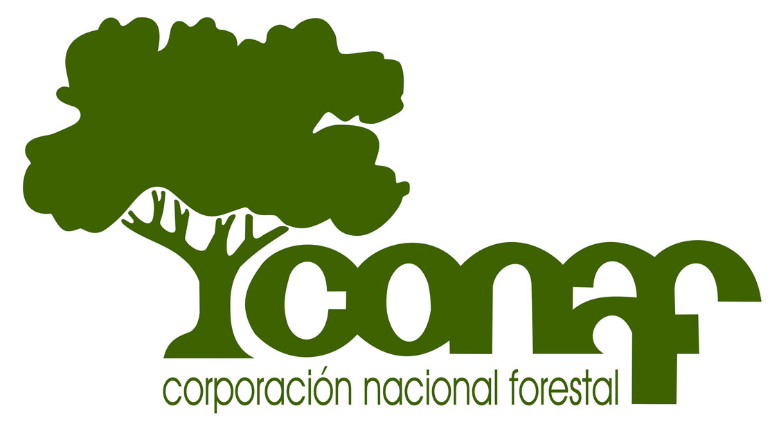 LAVOZ: Patagonia sin Represas interpondrá querella en contra de Conaf ...