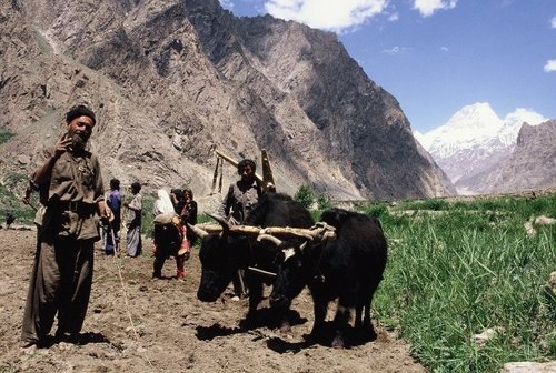 Balti Culture, the Tibetan culture has not changed yet - Trango Tours