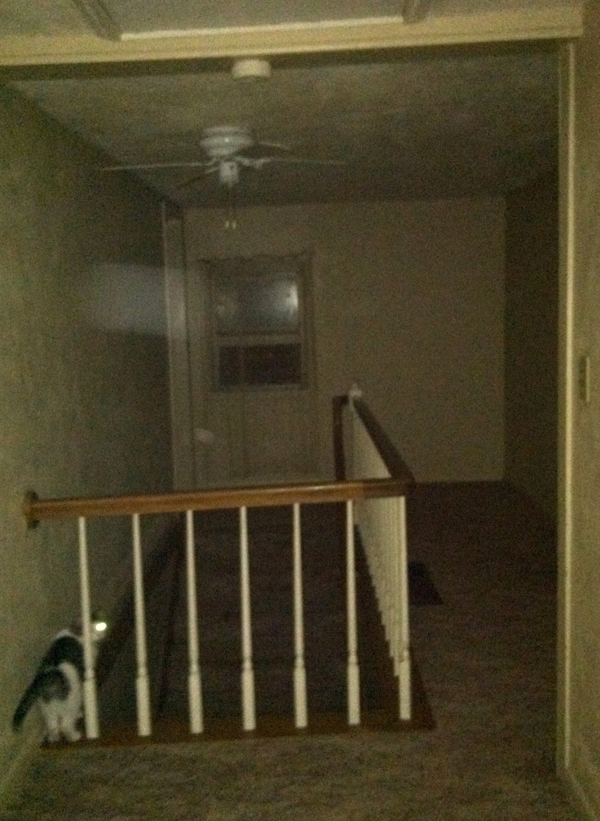 Extreme Haunting: Malicious entity caught on camera w/ thunderstorm photos