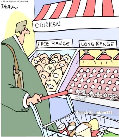 67 going on 50… : HOW TO...NAVIGATE THE FOOD SHOPPING MINEFIELD, incl ...