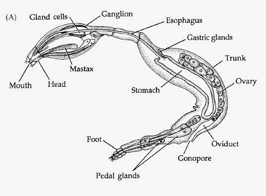 marzo 2015 | Fernando Modesto Parra Pérez - Sección 2