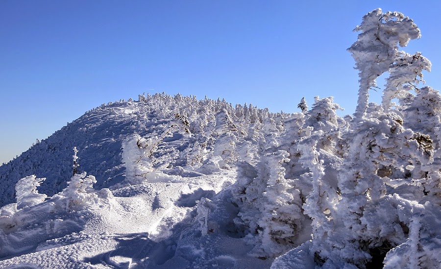 Hiking in the White Mountains: Solo Saturday - Mount Carrigain & Mount ...