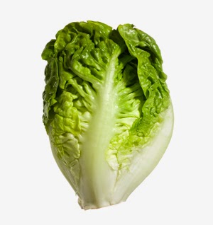 El bancalico del Cervantes: PLANTACIÓN LECHUGA BABY