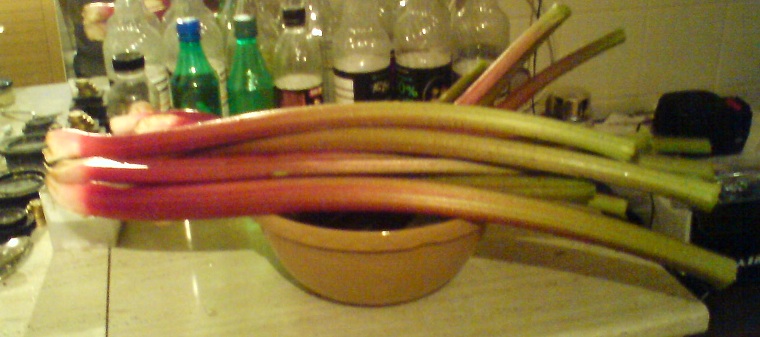 Growing Things and Making Things: Rhubarb cordial and things to do with ...