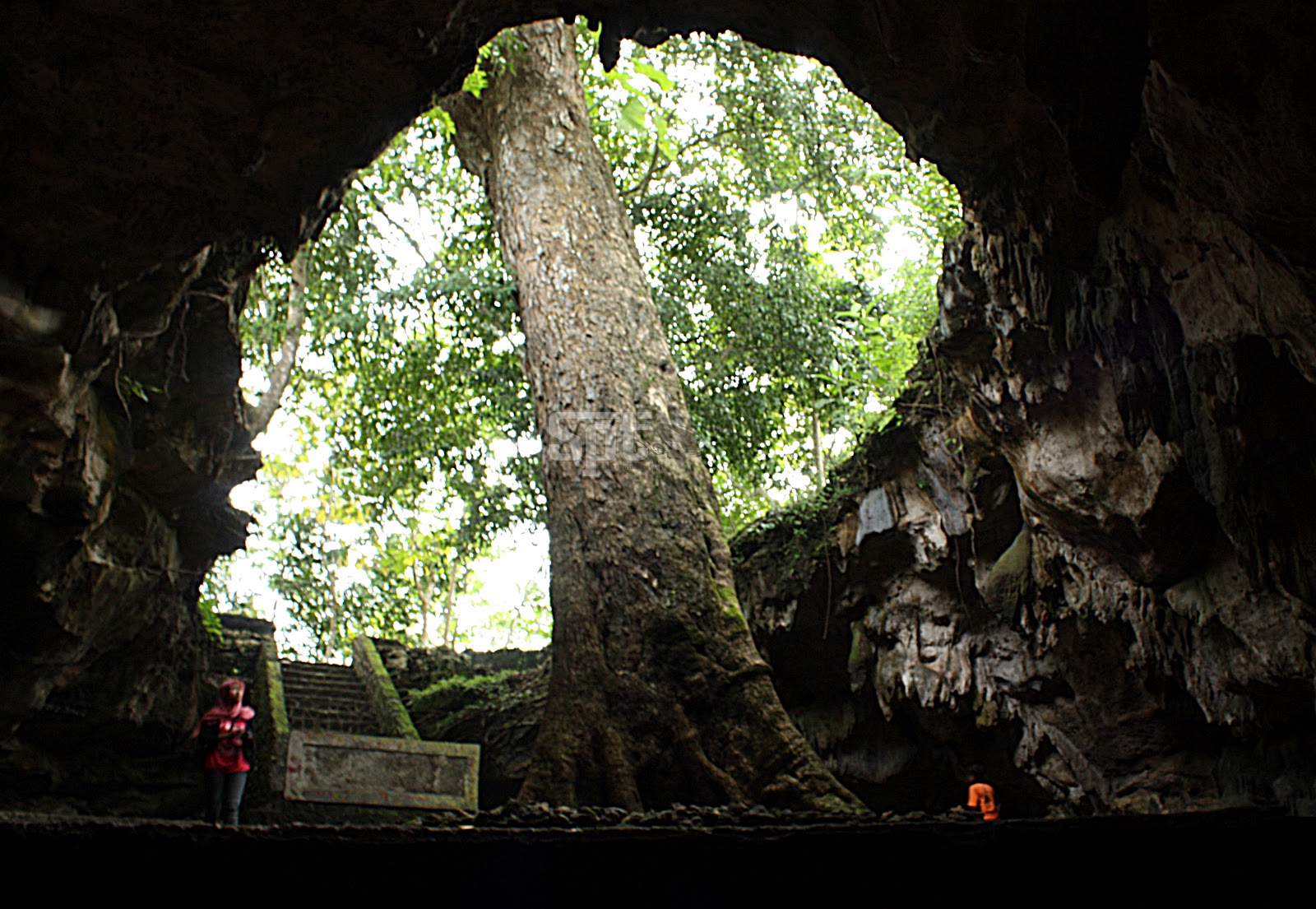 Goa Rancang Kencono Bleberan Kabupaten Gunungkidul Daerah Istimewa ...