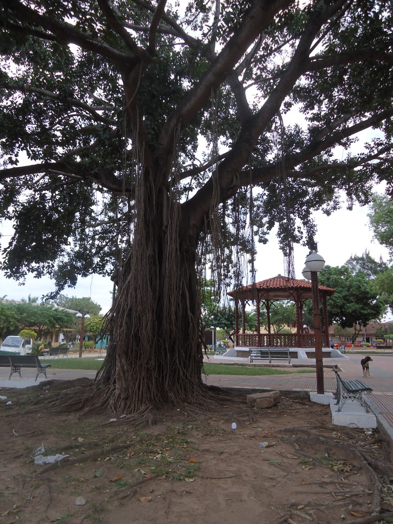 Roboré es Turismo: Toda la Chiquitanía Sur de Santa Cruz tiene lugares ...