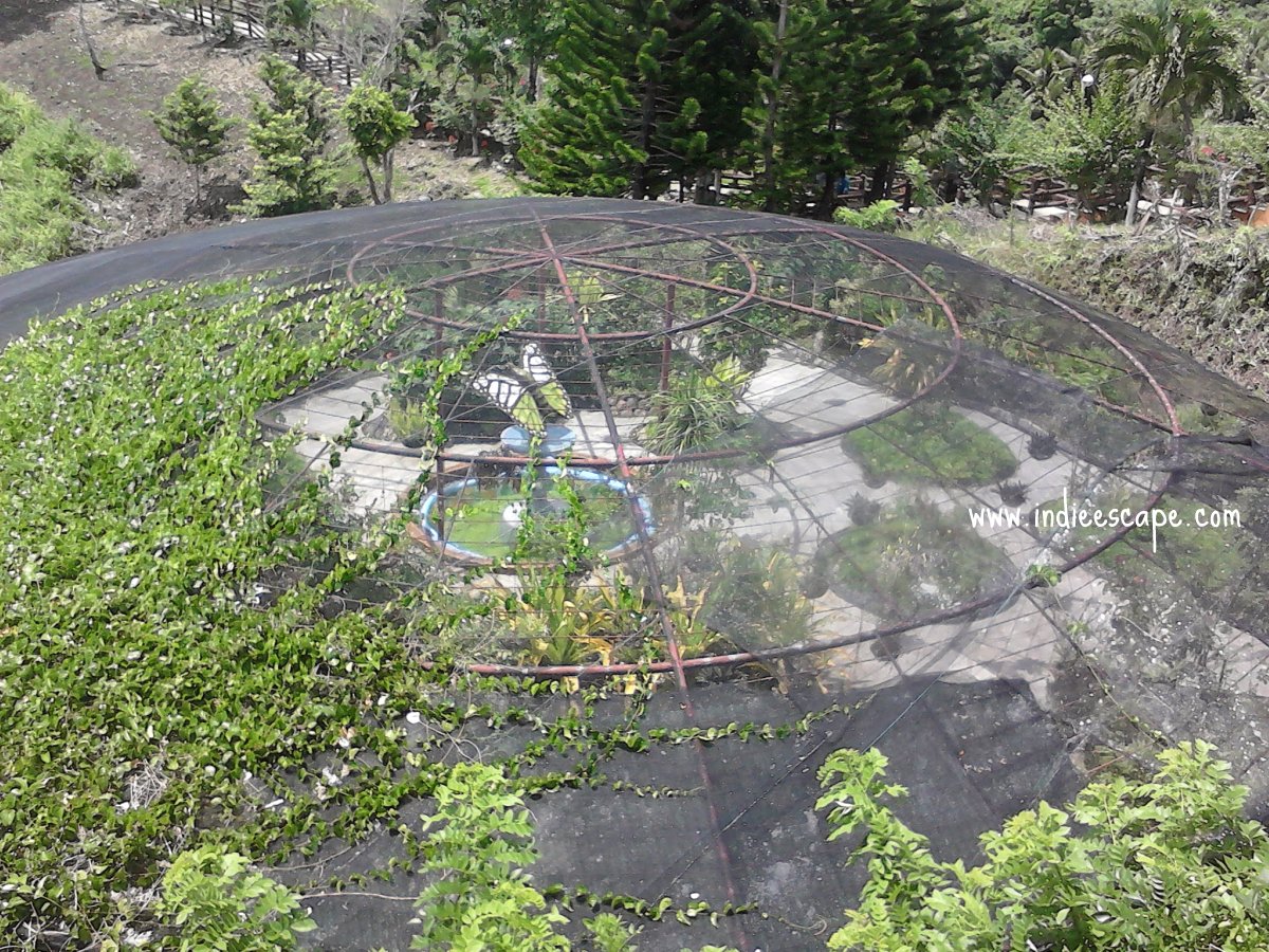 Tubigon, Bohol Tour Itinerary via Cebu | Indie Escape