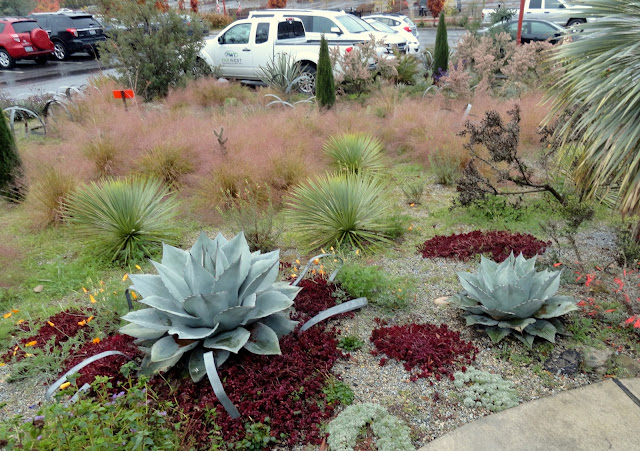 danger garden: North to Anderson School! (part one)