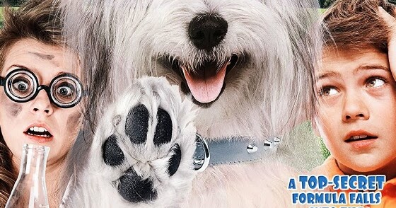 Film Fan: Abner the Invisible Dog (4 Stars)