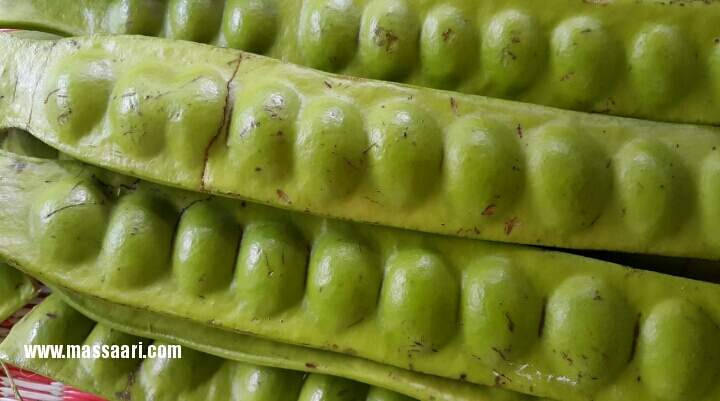 mrs secretary: Hasil petai kampung